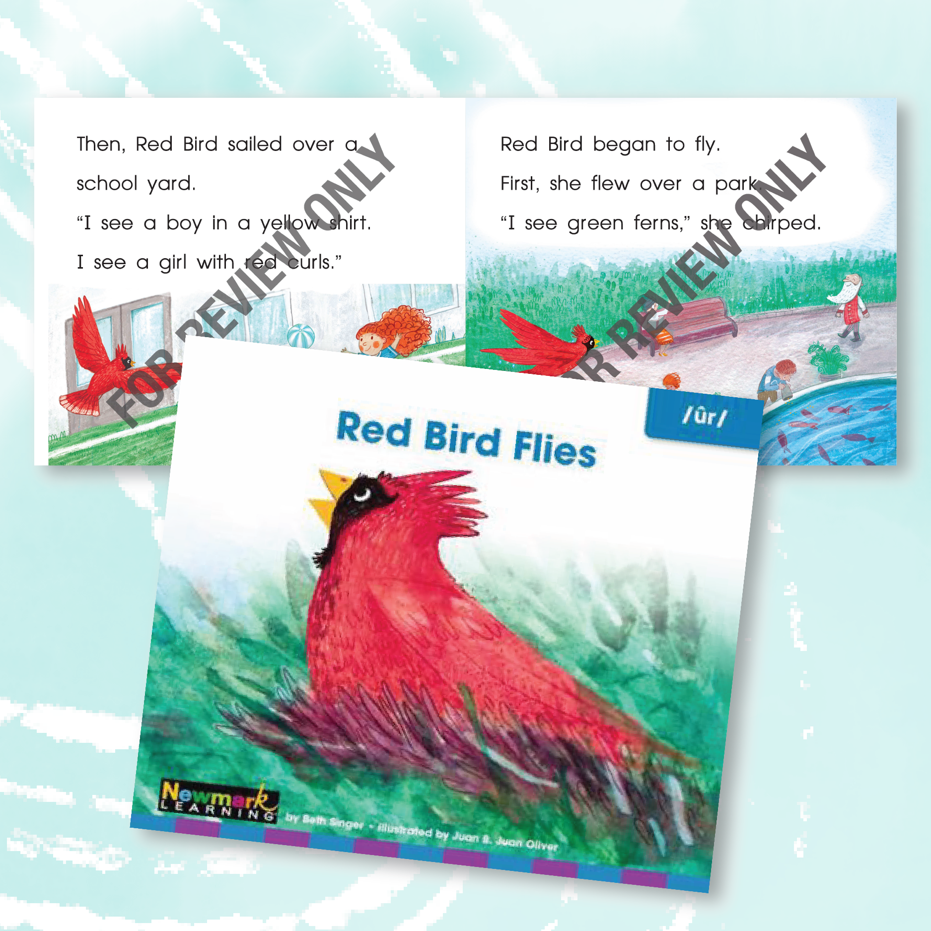 Collections Aligned to the LETRS Scope & Sequence